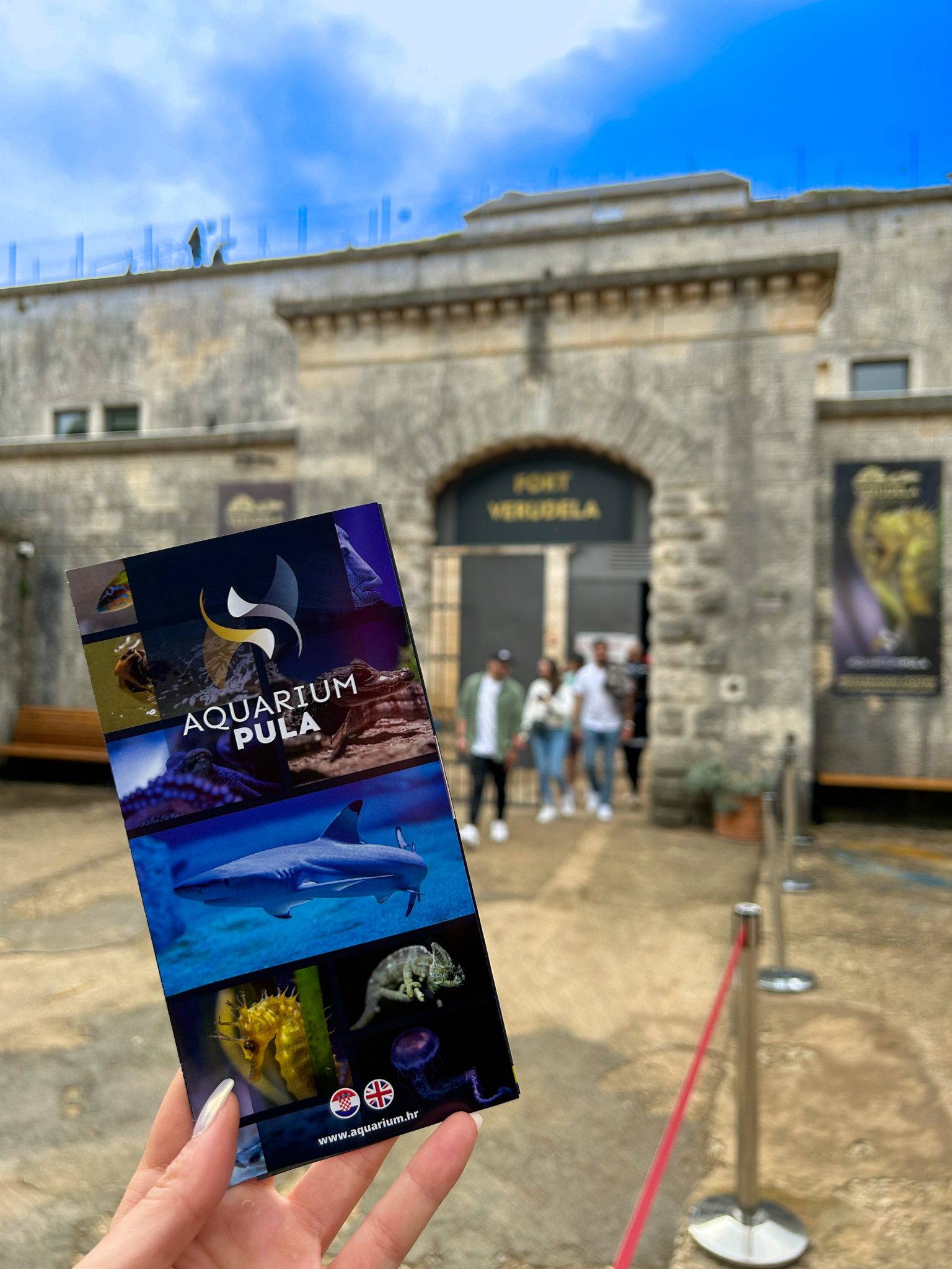 Akvarij Pula - Otkrijte ljepote podvodnog svijeta - Istria Booker